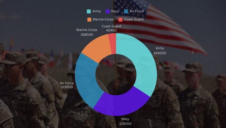 What is the US Military Size in 2025? - NSIN