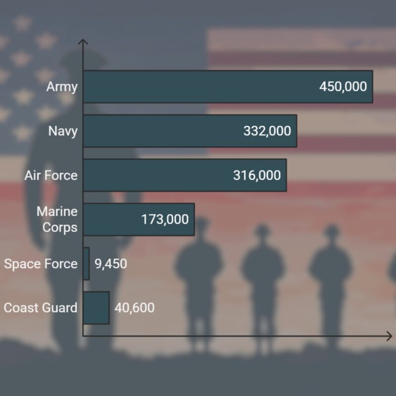What is the US Military Size in 2025? - NSIN