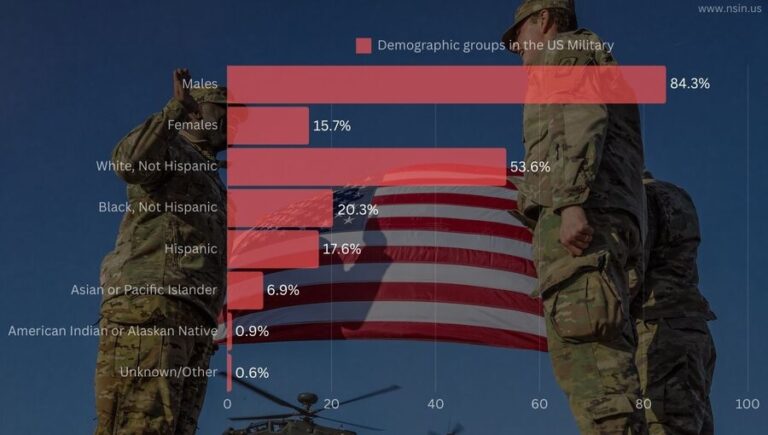 What is the US Military Size in 2025? - NSIN