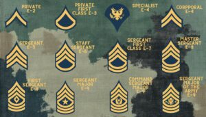Complete List of US Army Ranks in Order - Rising to the Top - NSIN