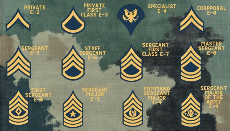 Complete List of US Army Ranks in Order - Rising to the Top - NSIN