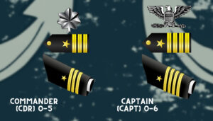 US Navy Ranks in Order - From Seaman to Admiral - NSIN