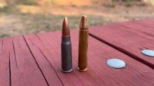 .350 Legend vs .308 Winchester - Which One Should You Choose? - NSIN